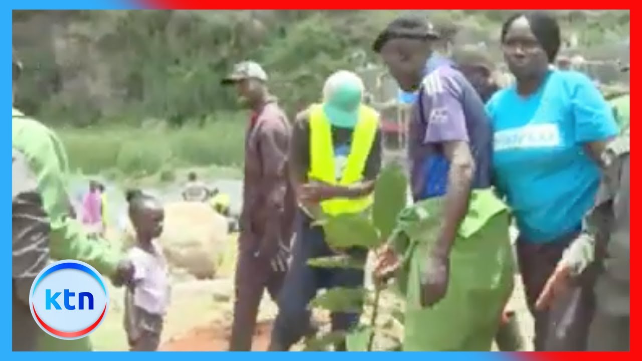MP TJ Kajwang applauds community-led tree planting programs channeled ...