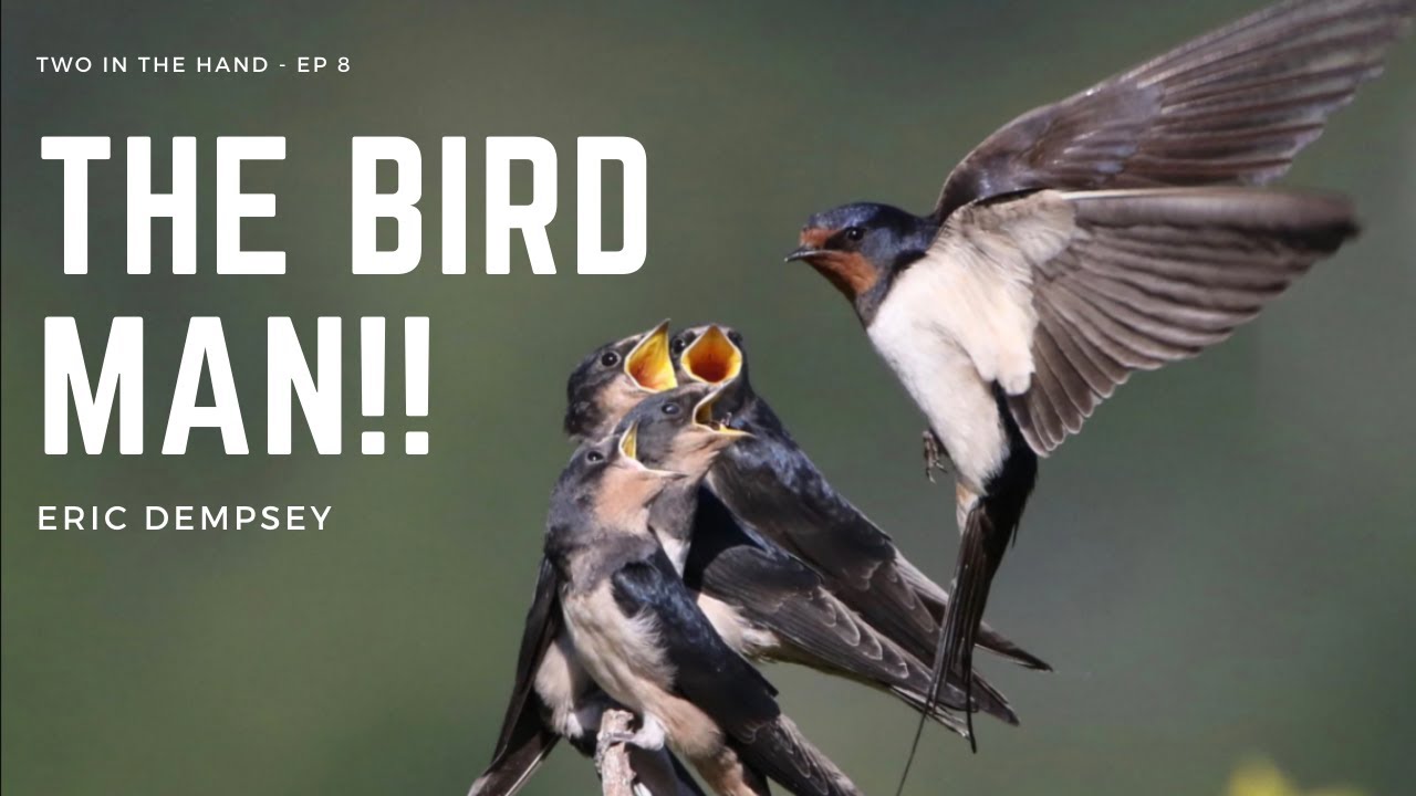 Birders are weird!! Epic Bants with the world's 1st Urban Birder Eric ...