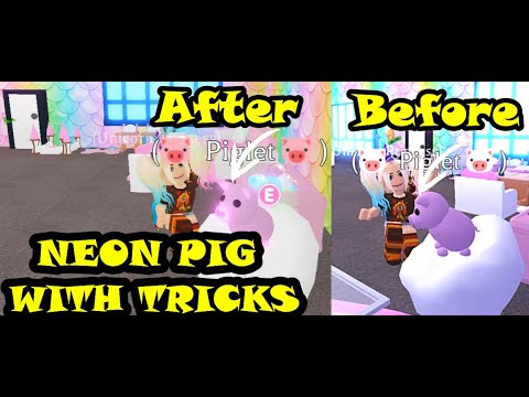 ADOPT ME NEON PIG FROM FARM ANIMALS VERY CUTE INCLUDING THE TRICKS ...