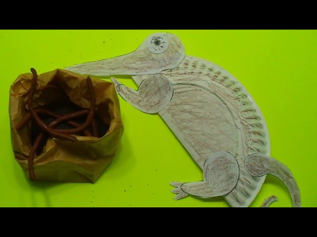O Que E Aardvark O ANIMAL Mais LINGUARUDO Do MUNDO | Wildboppre