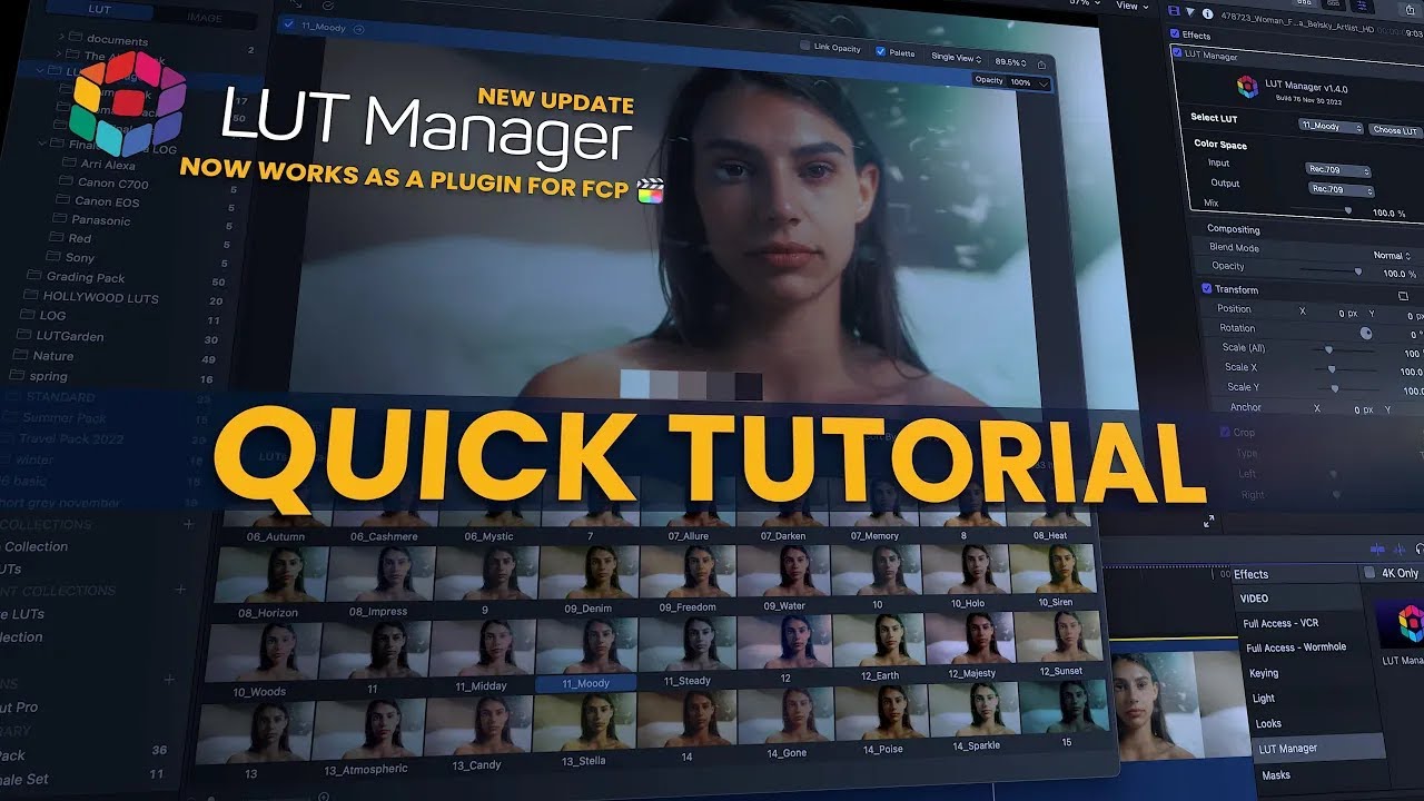 How to visually preview and organize LUTs from Final Cut Pro — LUT Manager 1.4 Tutorial - YouTube