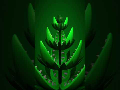 𝗕𝗢𝗧𝗔𝗡𝗢𝗣𝗛𝗢𝗕𝗜𝗔 🌱 an intense fear of plants - YouTube