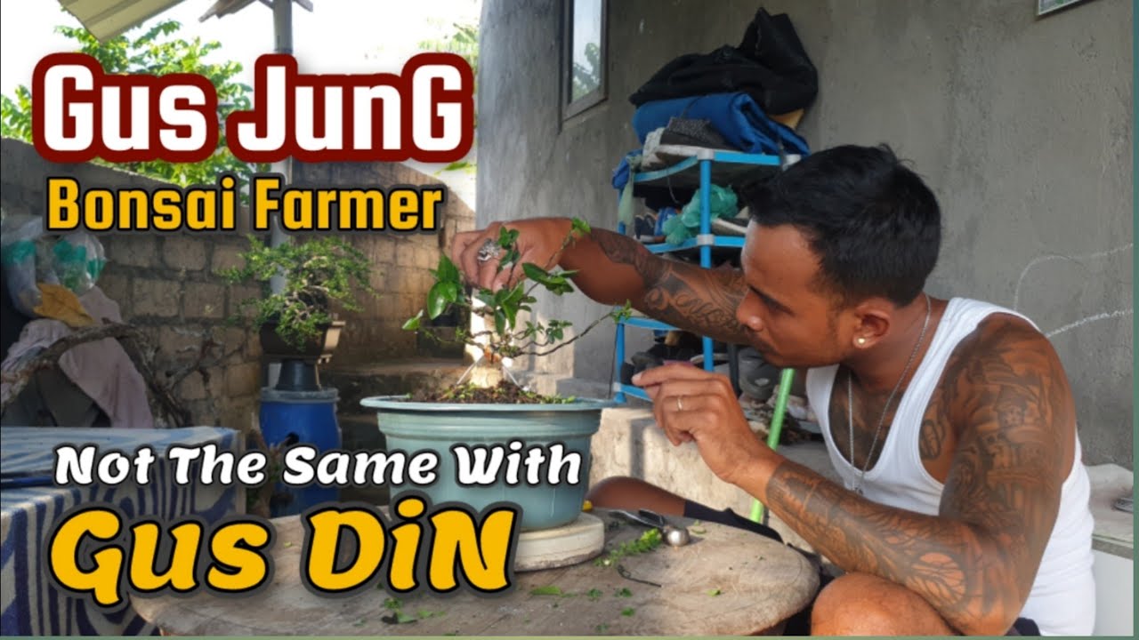Gus JunG bukan Gus DiN @therisingofroninbonsai - YouTube