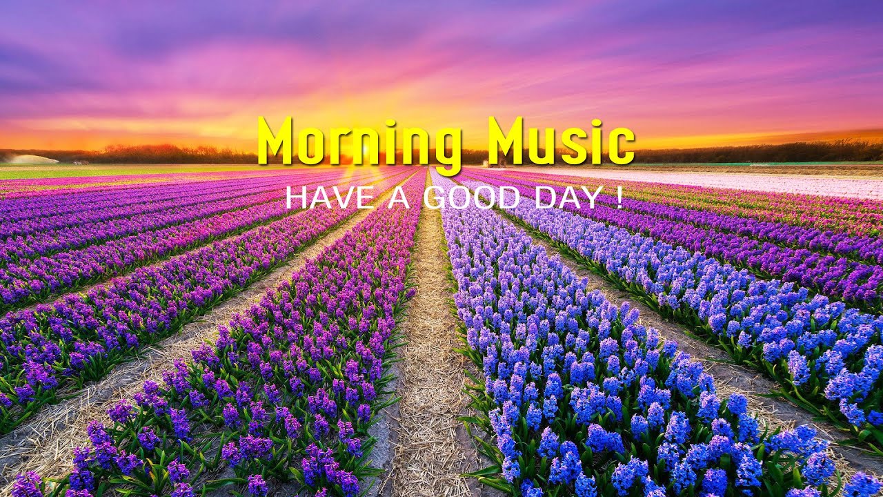 Beautiful Morning Music Happy Wake Up With Positive Energy & Stress ...