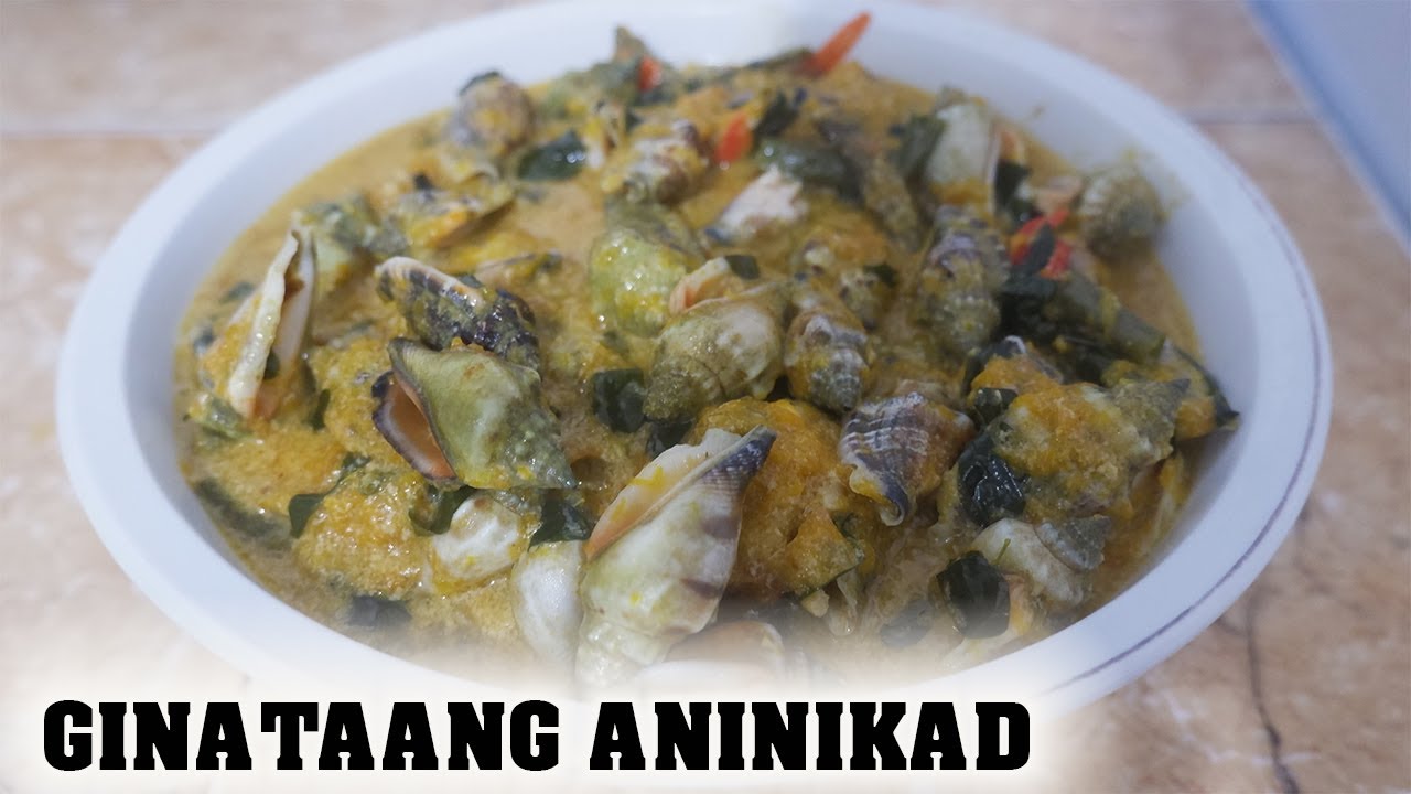 GINATAANG ANINIKAD | HOW TO COOK EDIBLE SEASHELL - YouTube