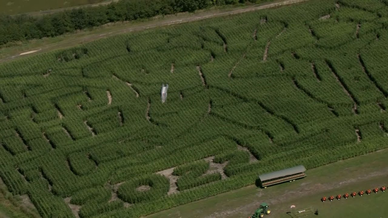 WOW! Check out this Big Papi corn maze in Plympton - YouTube
