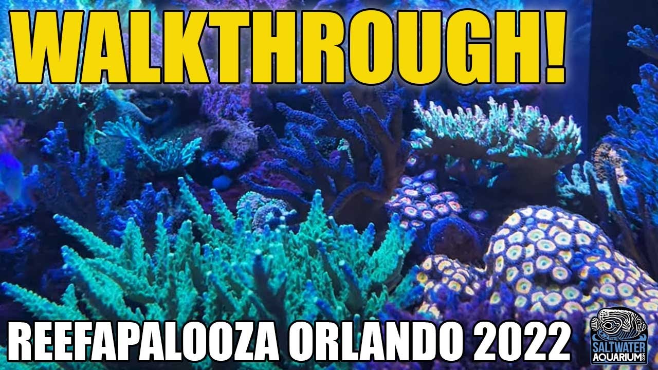 WALKTHROUGH with Hilary Jaffe - Reef-A-Palooza Orlando 2022 - YouTube