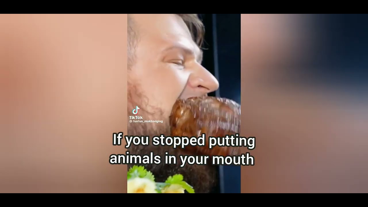 Wildlife Weekly Reminder Part 31 - YouTube