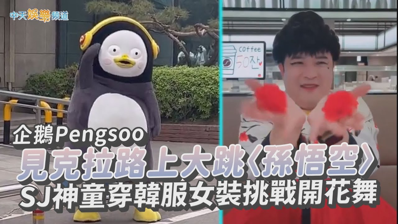 【撩星聞】企鵝Pengsoo見克拉路上大跳〈孫悟空〉 SJ神童穿韓服女裝挑戰開花舞 | 中天新聞網