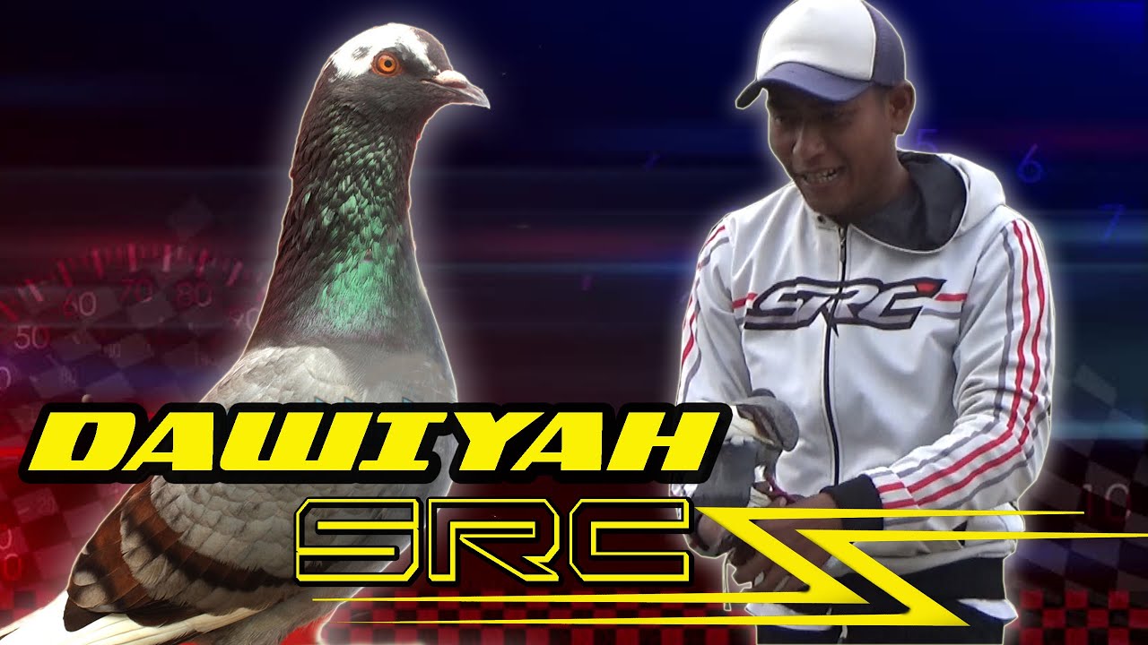 DI SINI KEISTIMEWAAN DAWIYAH SRC-BURUNG VIRAL DI PMTI NASIONAL 2020 ...