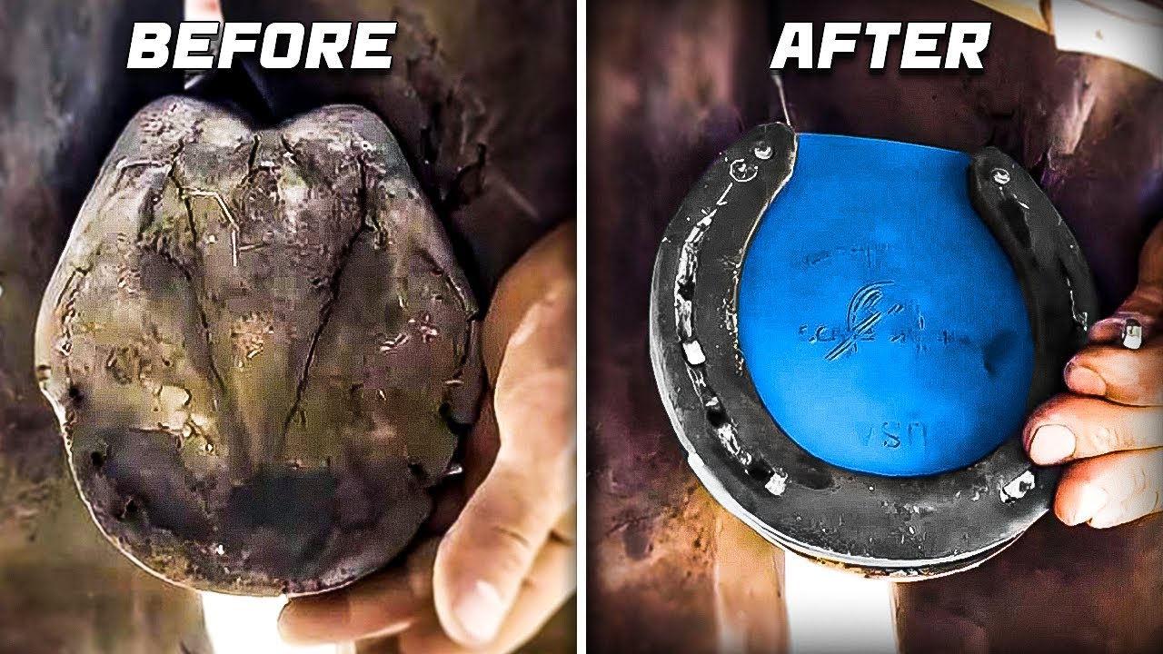 Horse Hoof Deep Clean and Restoration [Beautiful Results] - YouTube