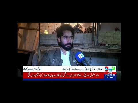Berry Dog Quetta Breaking news