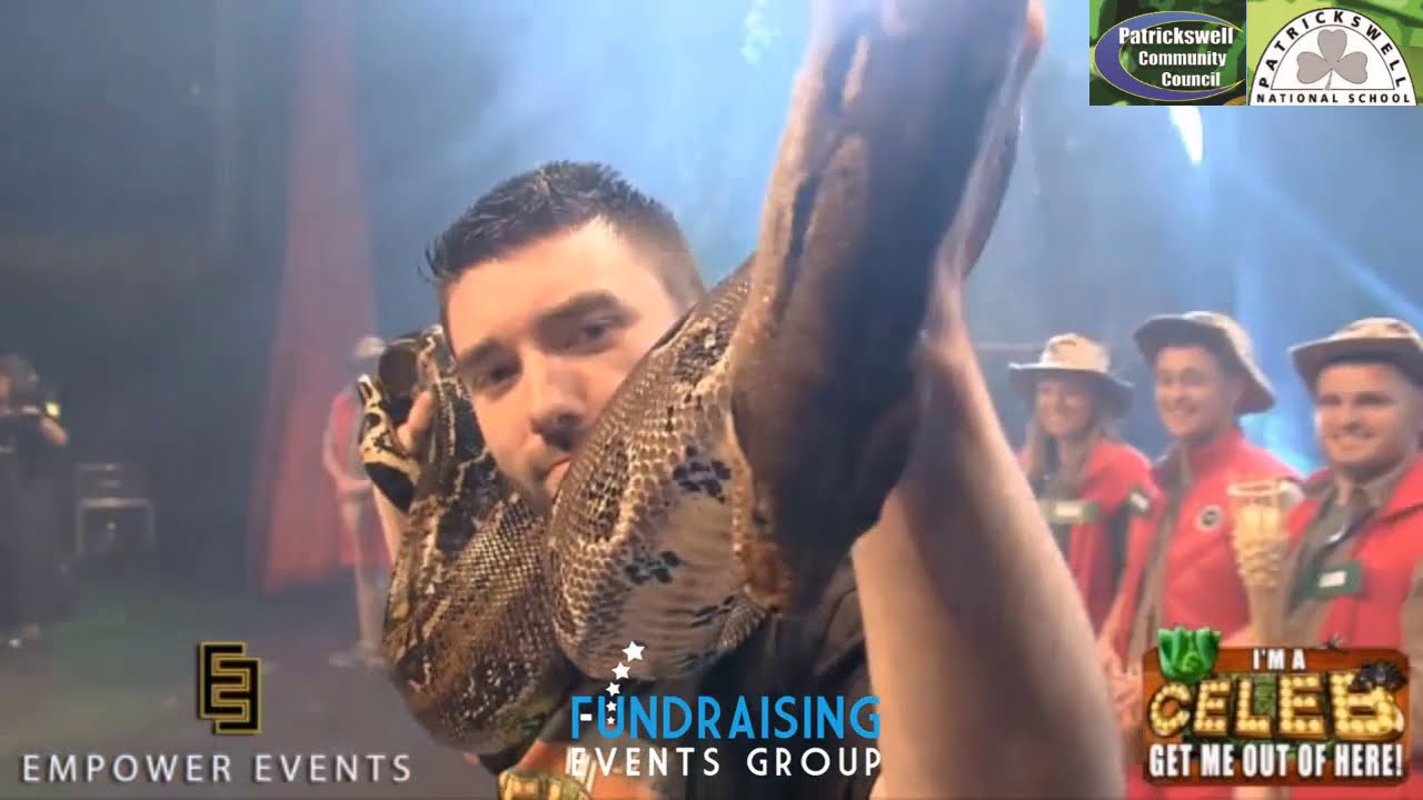 JUNGLE Challenge | Patrickswell NS | Gig Announcement - YouTube