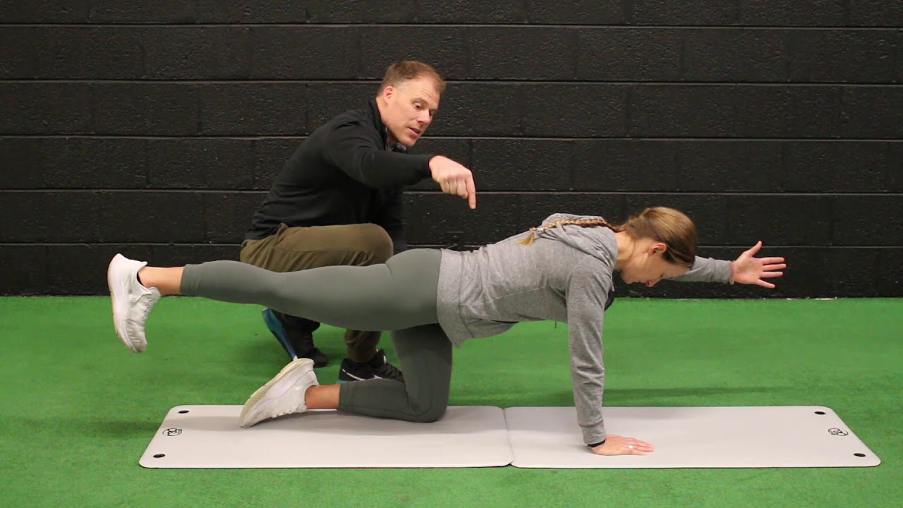 No3. Isometric Bird Dog Test - YouTube