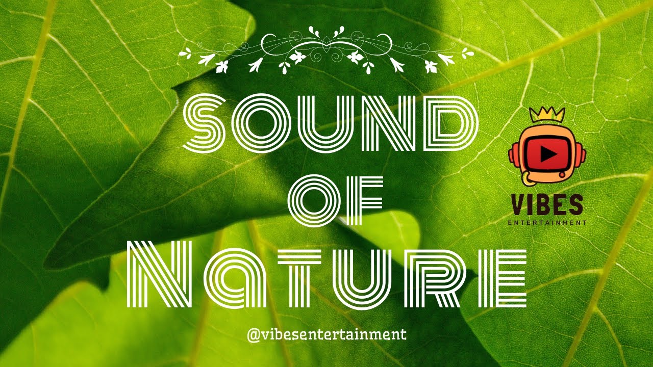 natural cave sounds, asmr cave sounds, cavern sounds. 1 hour! - YouTube