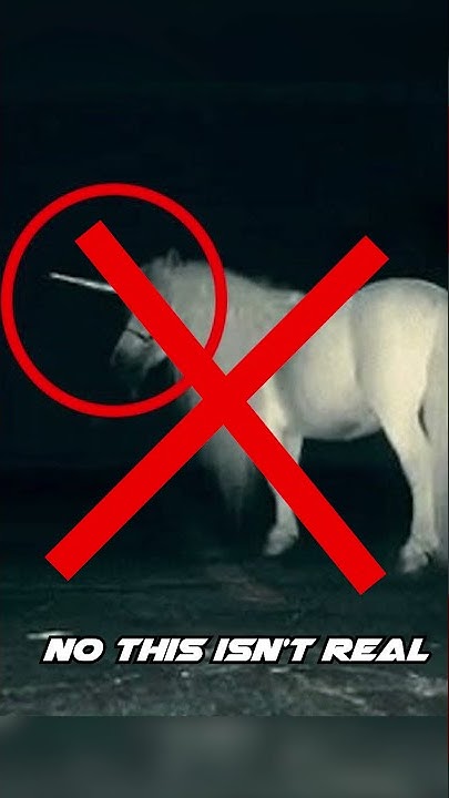 Does UNICORNS exist in real life ? #shorts - YouTube