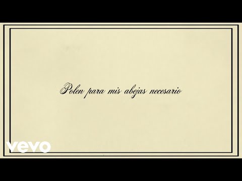 ANASOF - Tú, mi bb (polen para mis abejas, necesario) (Lyric Video)