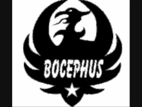 Hank Williams, Jr Born To Boogie