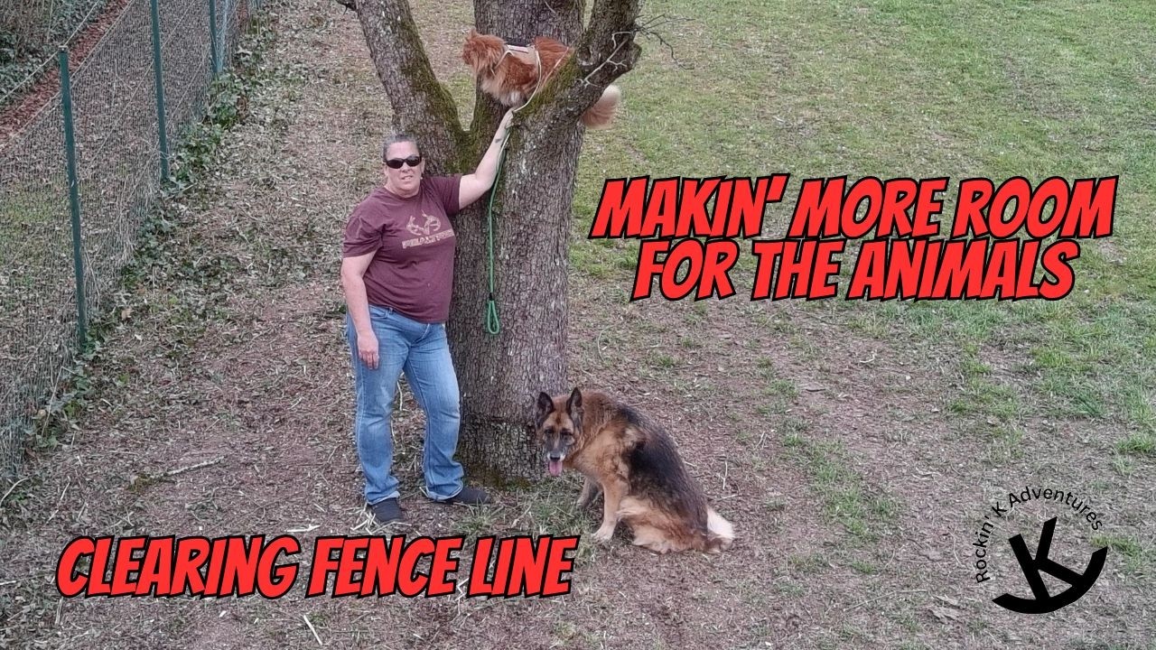 Clearing fence line to reclaim land for animals | American Homesteading ...