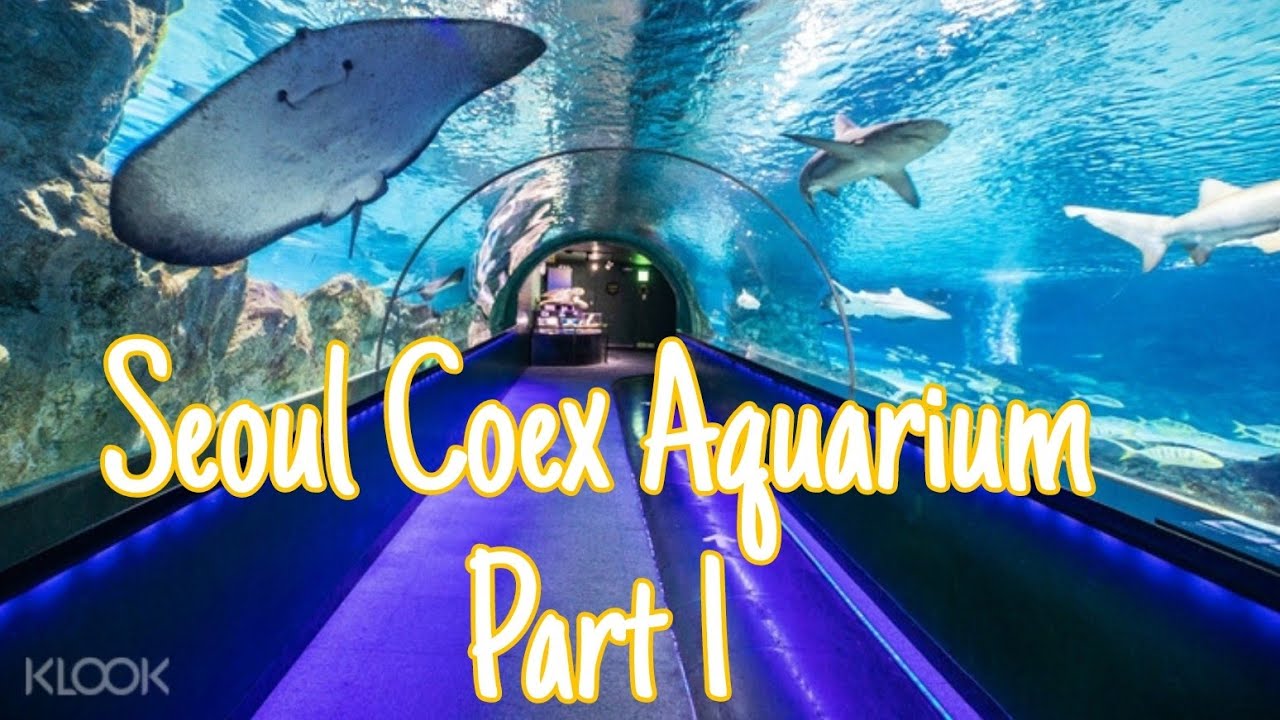 Coex Aquarium - YouTube
