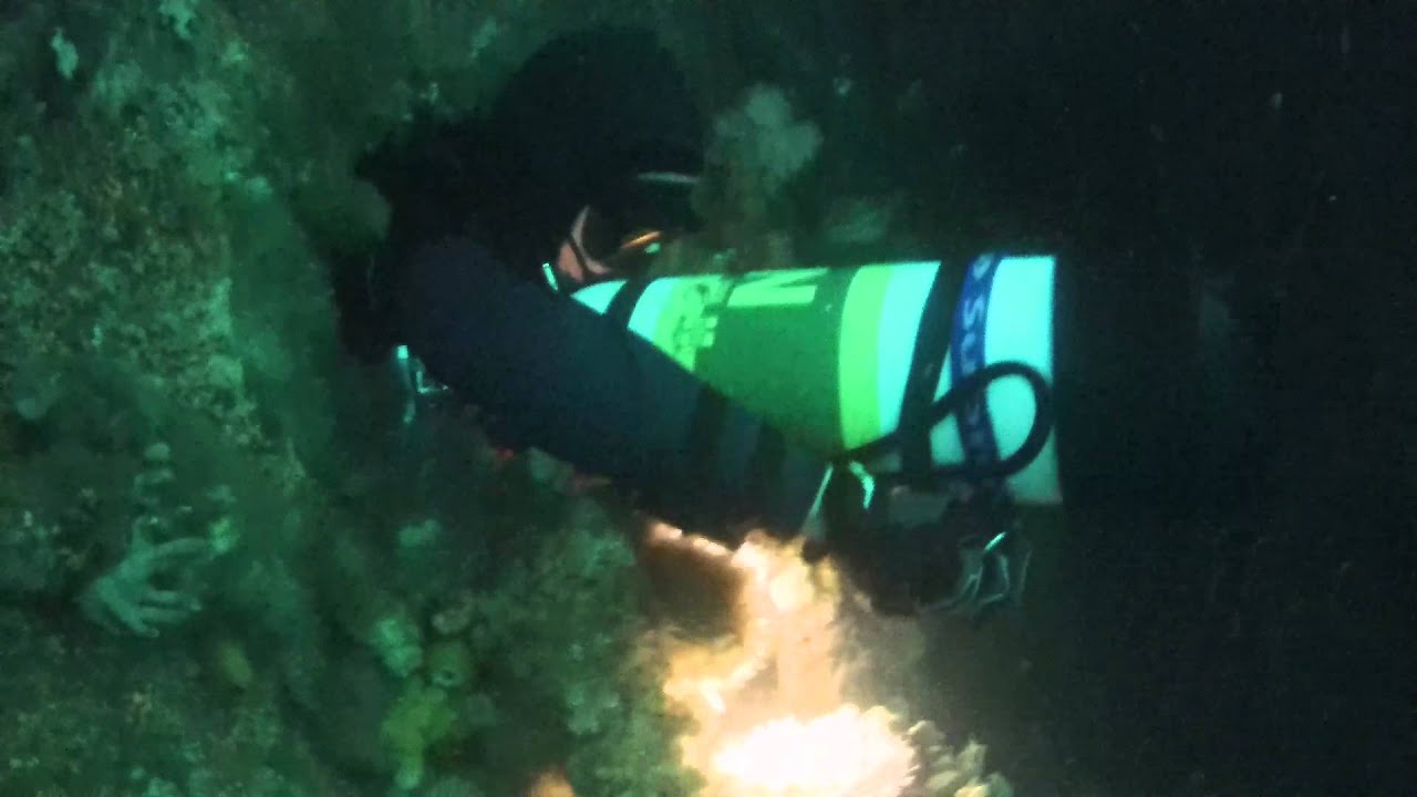 HMAS Adelaide - on Xdeep Sidemount - YouTube