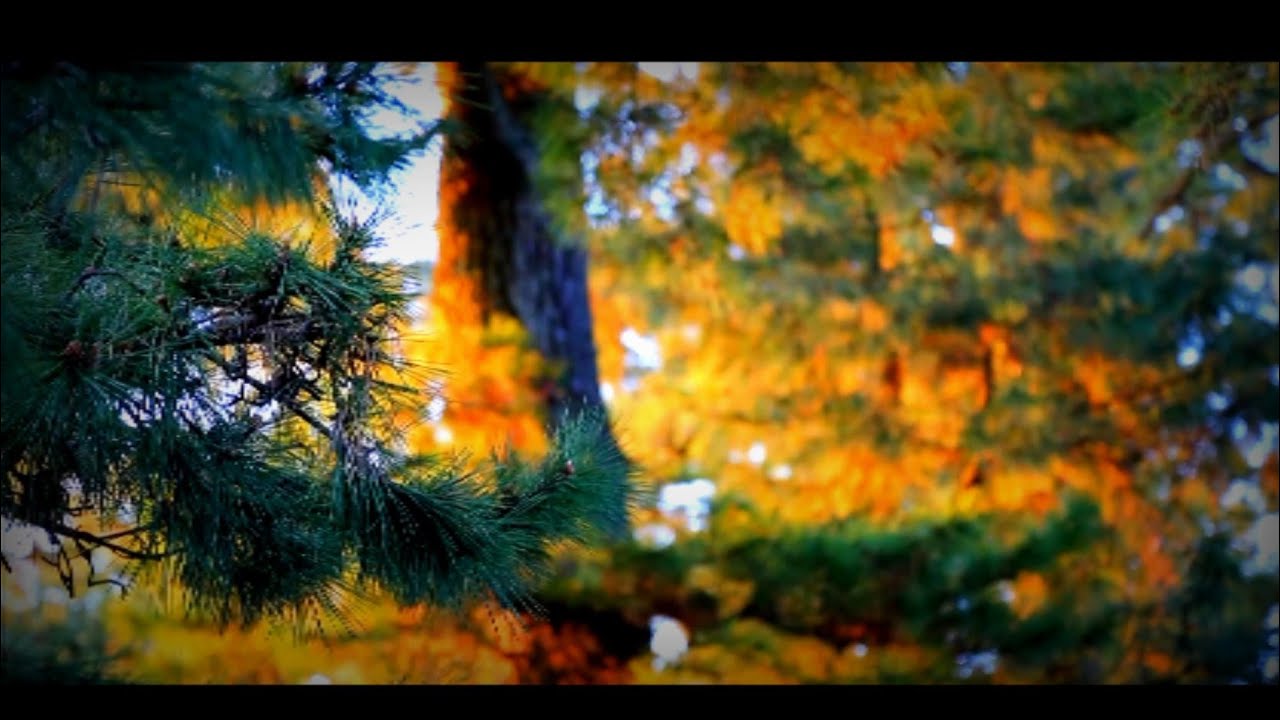 outdoor cinematic video - YouTube