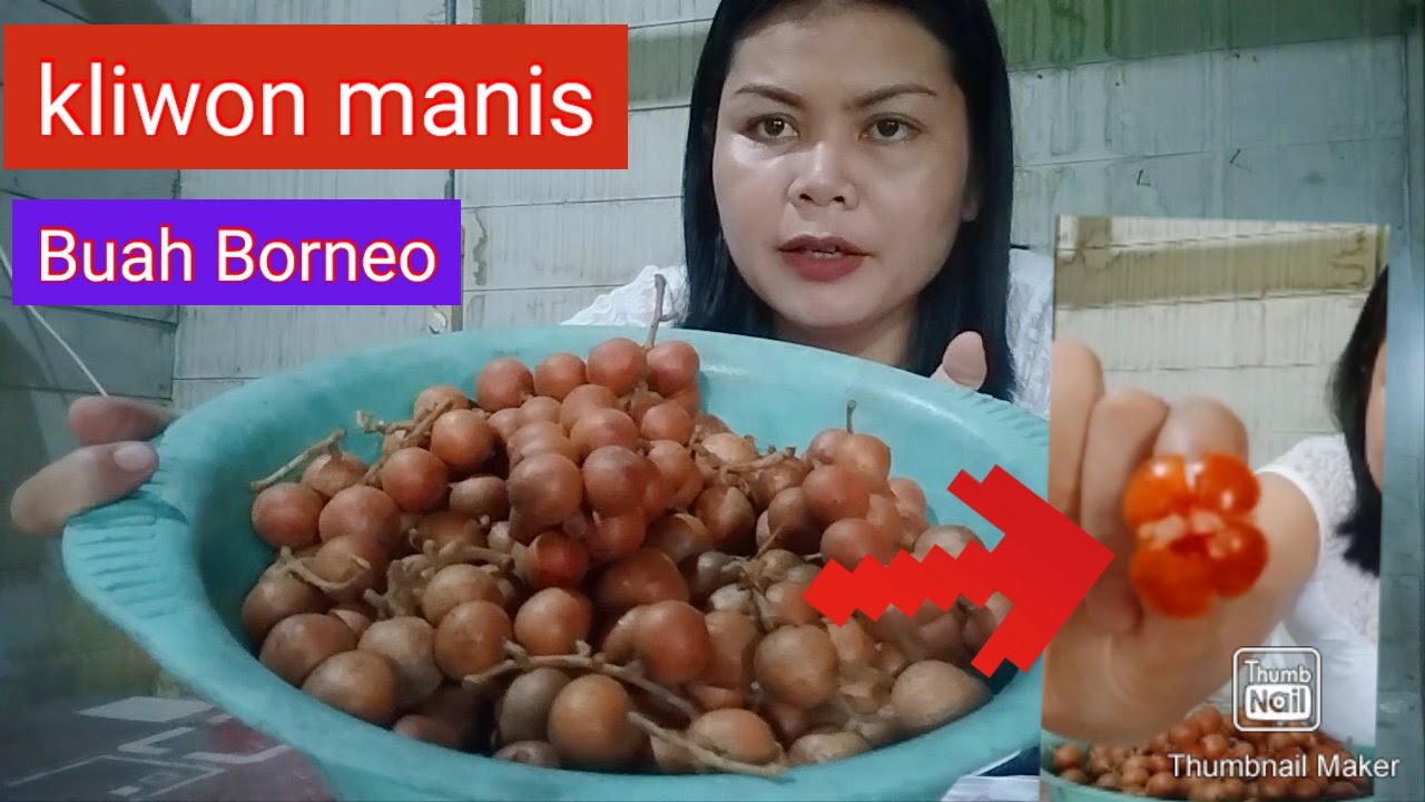 Amazing Buah kliwon kalimantan mirip buah kalengken enak - YouTube