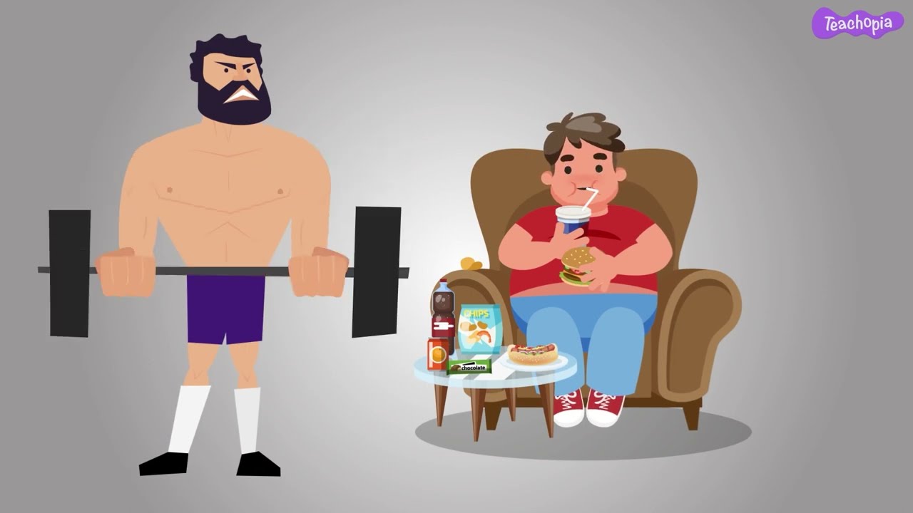 How our muscles repair and grow - YouTube