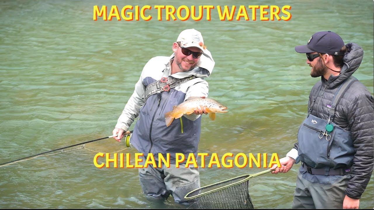 The Magic Trout Waters of Chilean Patagonia - YouTube