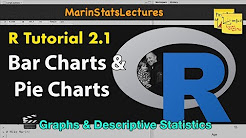 Graphs and Descriptive Statistics with R-Series 2 | R Statistical Software Tutorial Videos ...