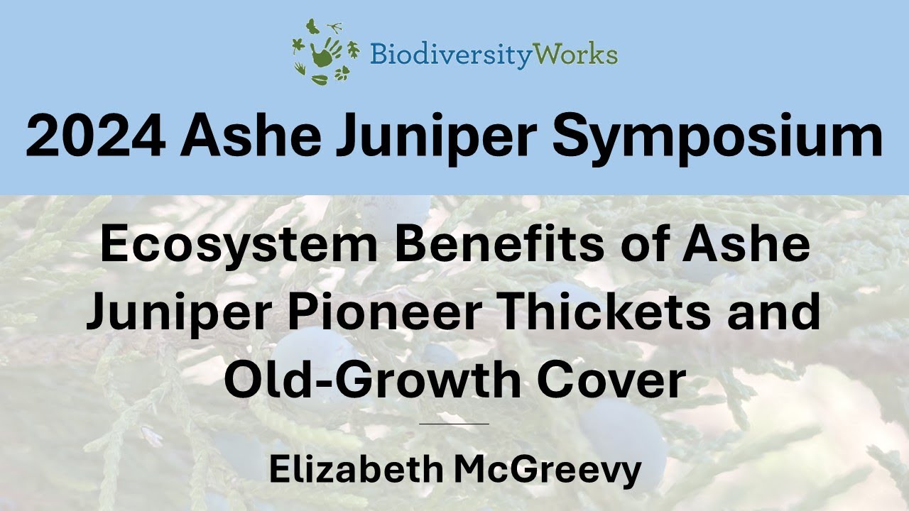 7. Ecosystem Benefits of Ashe Juniper Pioneer Thickets and Old-growth ...
