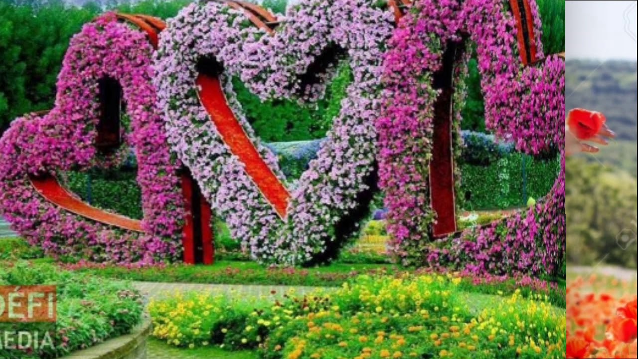 Good sinari good photo - YouTube