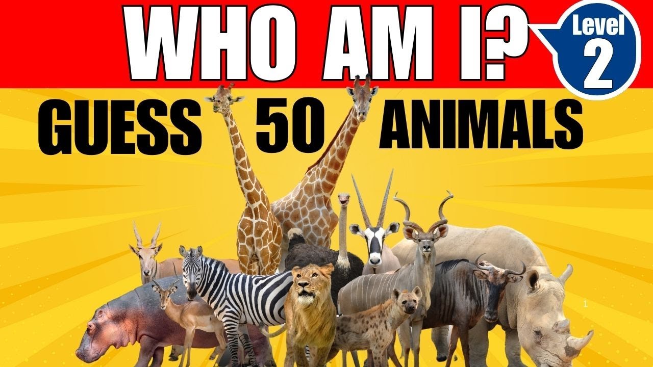 Who Am I? Animal version | Can you guess the animal - YouTube