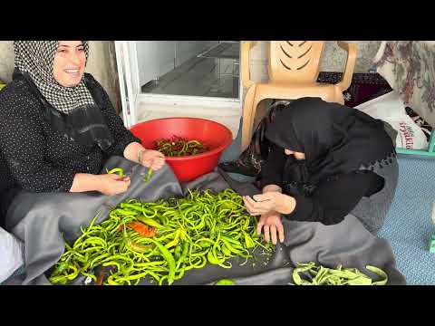 ANNEMDEN SOS TARİFİ✅25 KAVONOZ ACILI SOS YAPTIK‼️BU TARİFİ ARTIK BIRAKMAM😋