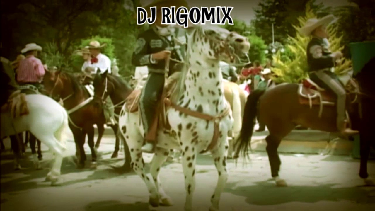 LOS COCONITOS ALTERADOS - YouTube