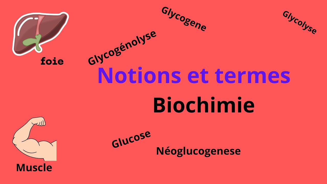 Biochimie métabolique (Approfondie) - Notions de base - YouTube