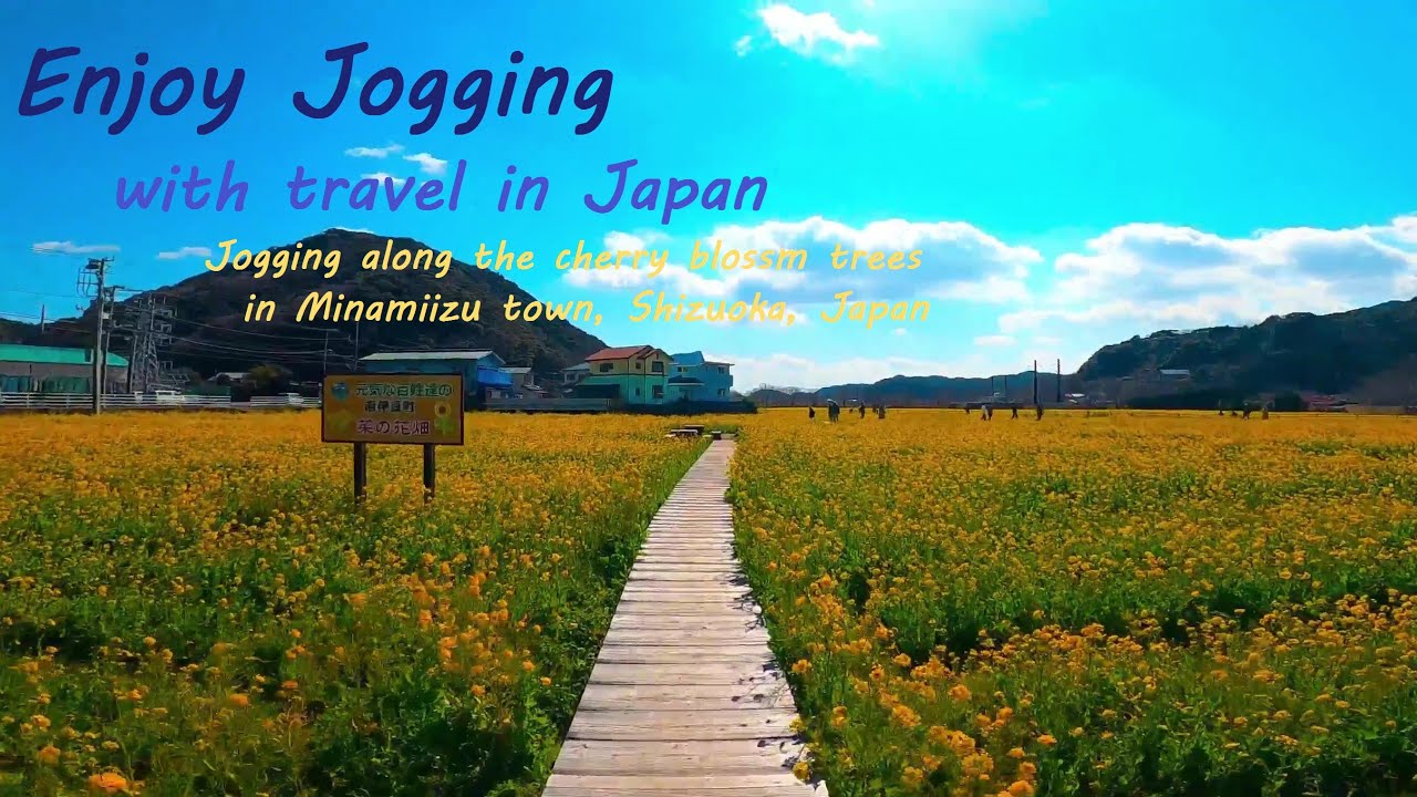 Jogging along the cherry blossom trees in Minamiizu Town, Shizuok ...