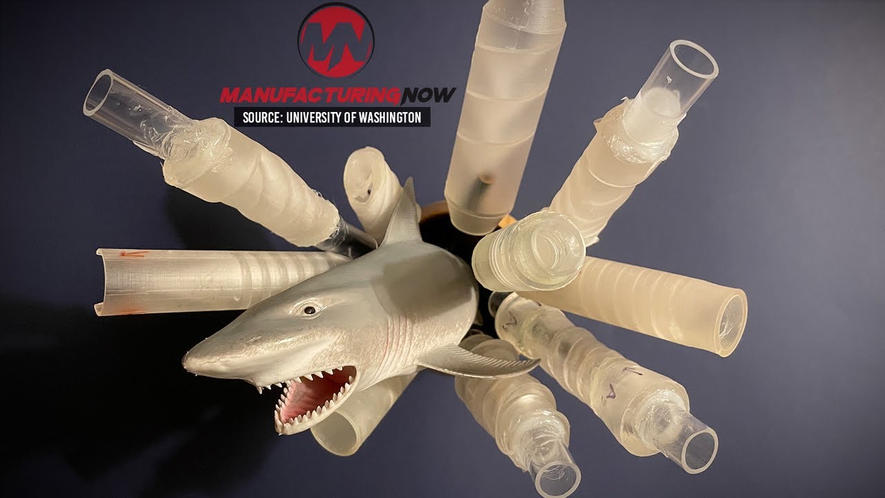 3D-Printed Shark Pipes Beat Out Tesla Valves in One Direction Flow ...