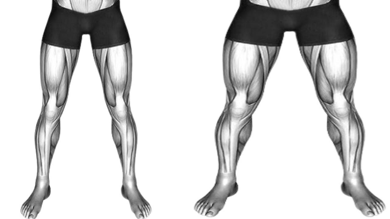 Best Legs Workouts At Gym #workout_animation - YouTube