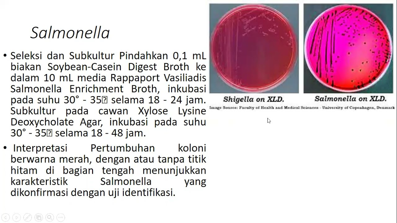 Uji Mikroba Spesifik Menurut FI VI 2020 - YouTube