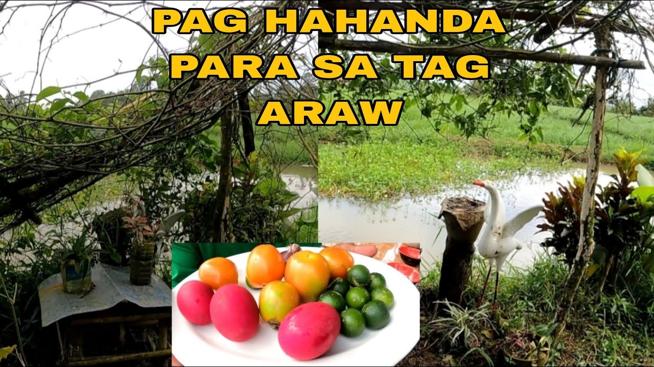 PAG AYOS NG BALAG NG FASION FRUIT - YouTube