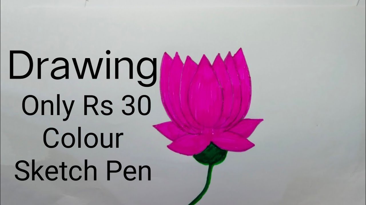 Beutiful Flower Drawing Easy, Step By Step Flower Drawing, Colour ...