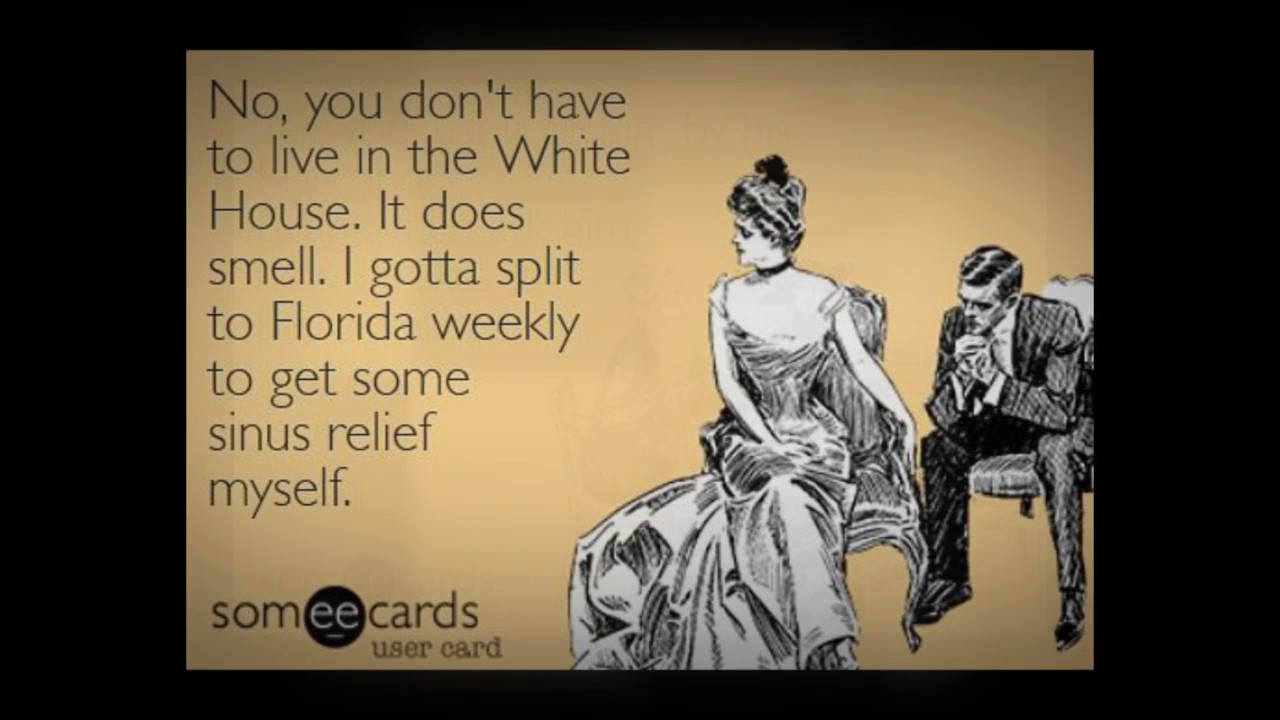 Top 10 Donald Trump SomeEcards, Summer Version, parody - YouTube