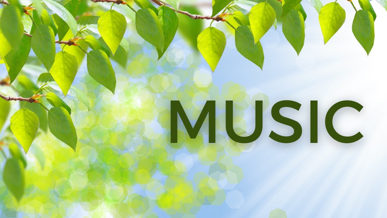 Morning Vibes | Positive Feelings and Energy | Chill your mind 🎧 🌳 👨‍🎓📚 ...