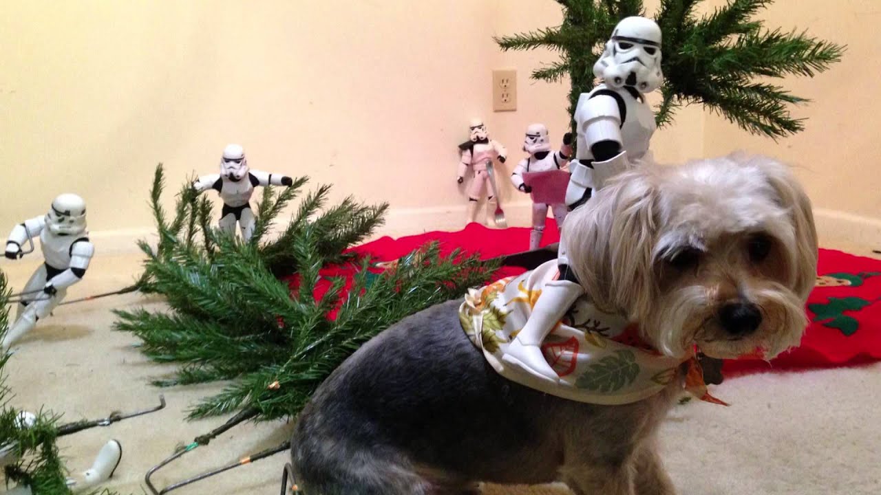 Stormtrooper Christmas Tree setup - YouTube