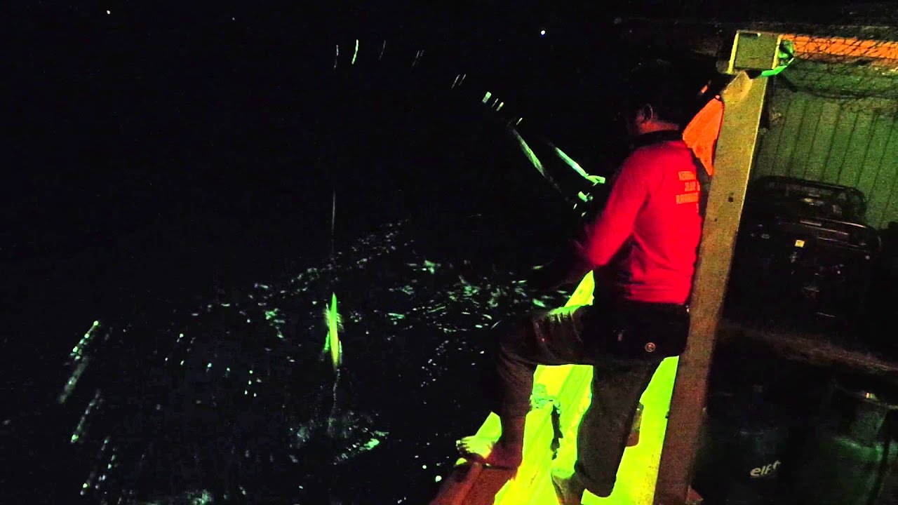 Squid Jigging / Mencandat Sotong - YouTube