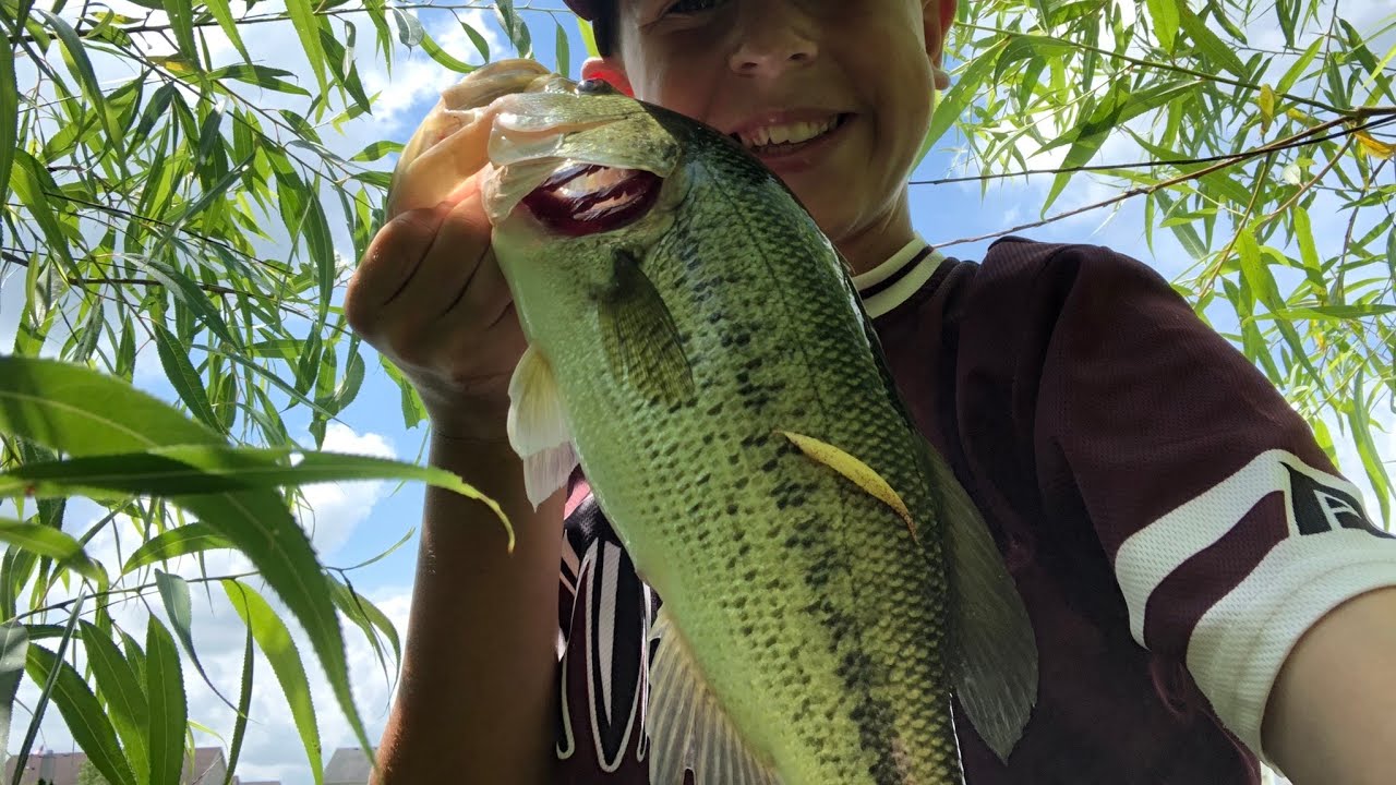 CATCHING BIG BASS on SWIM BAITS - YouTube