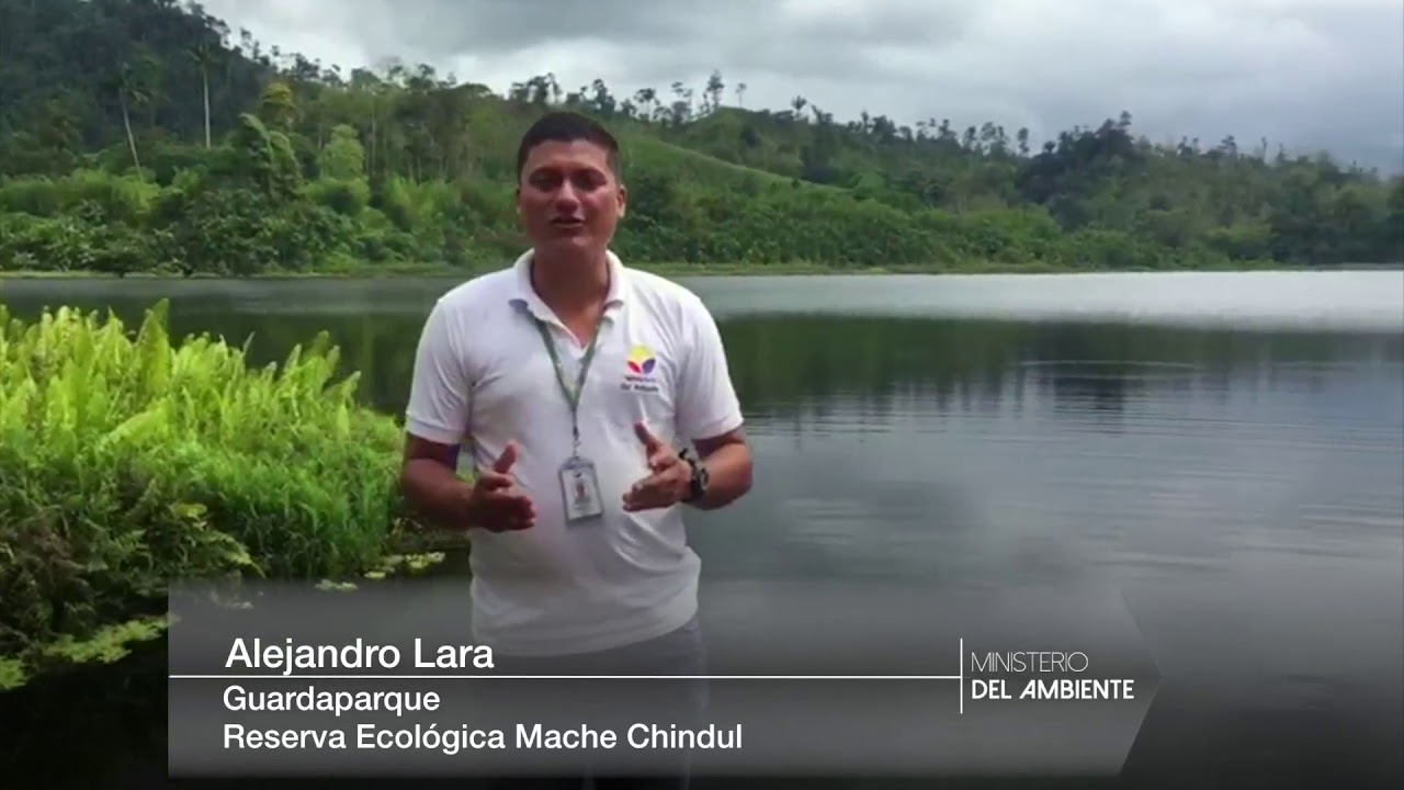 Reserva ecológica Mache Chindul - YouTube