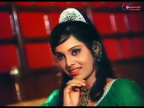Parda To Hai Husn Ki Azmat | परदा तो है हुस्न की अज़मत | Sultan-E-Hind 1978 Film Song