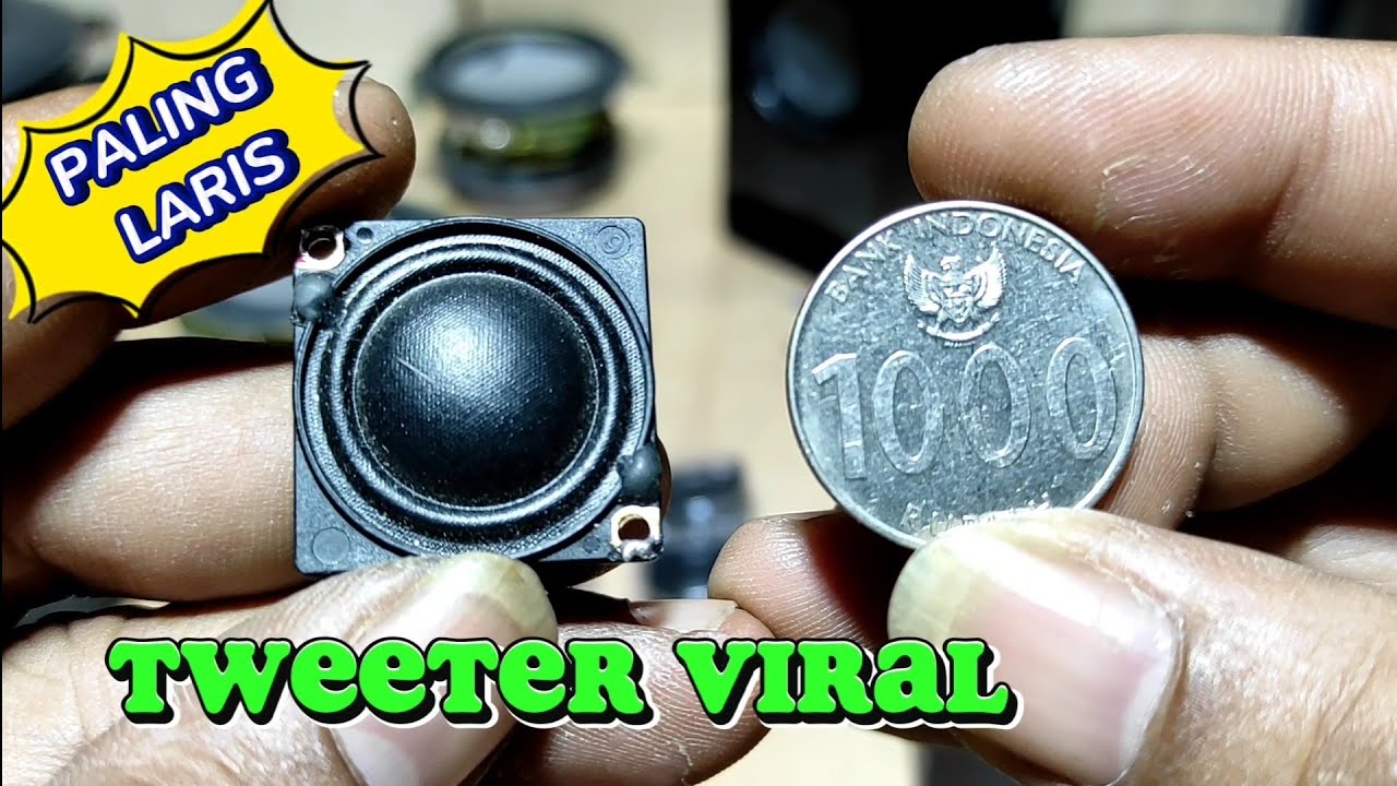 viral speaker tweeter, DIY project recommendations - YouTube